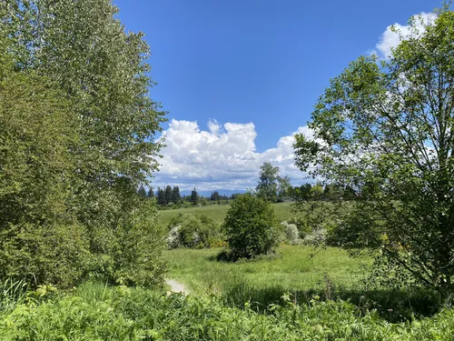 10 Best Trails and Hikes in Kent | AllTrails