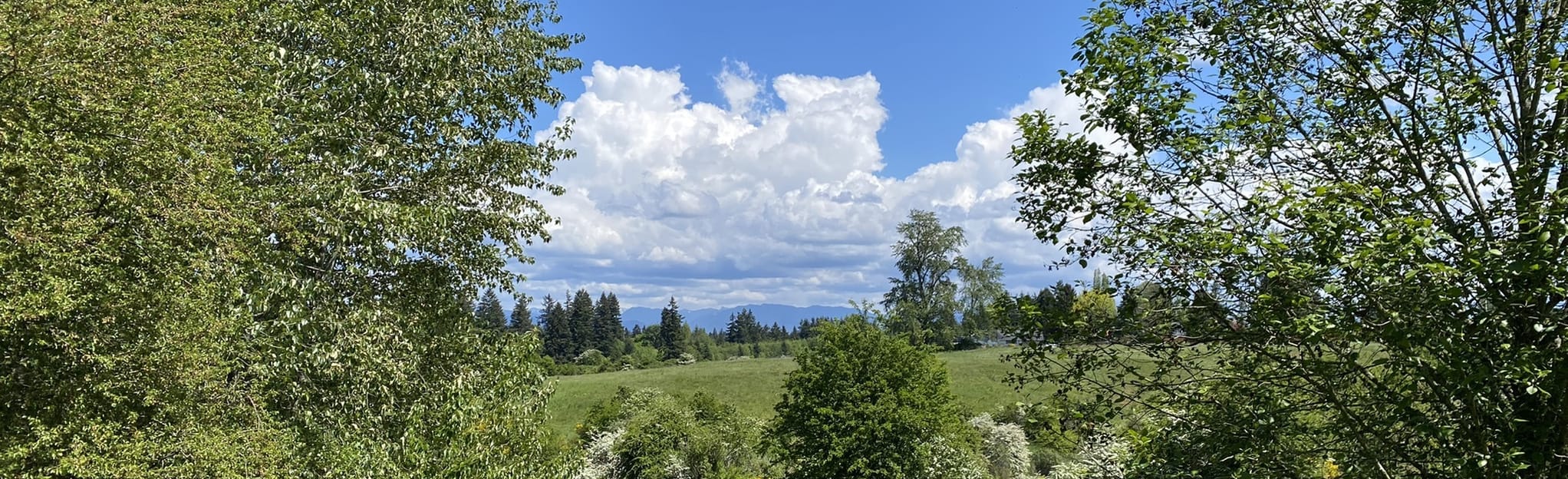 Clark Lake Park: 284 Reviews, Map - Washington | AllTrails