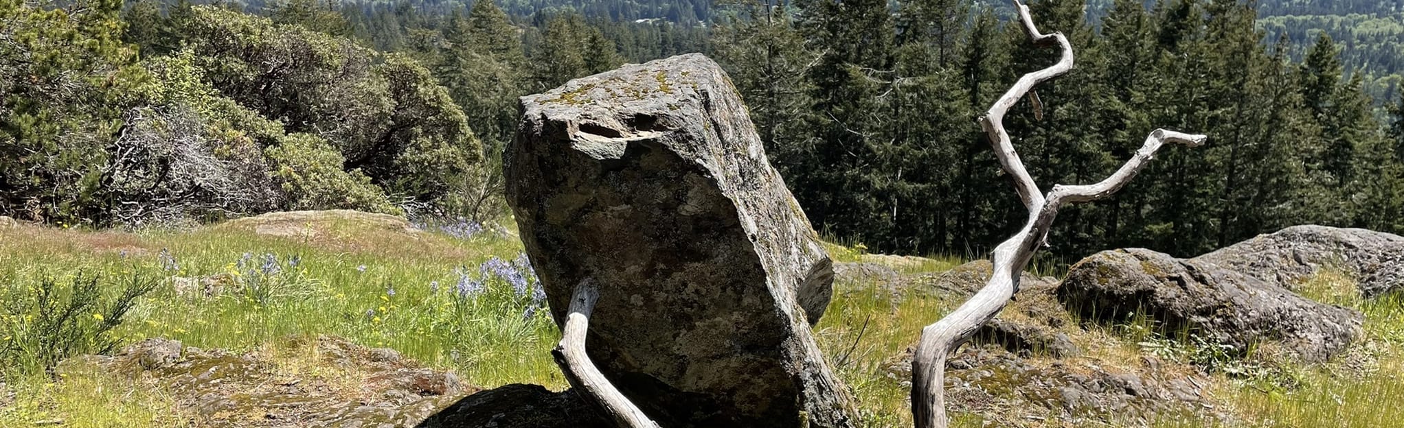 Mount Bluff Lookout, British Columbia, Canada - 39 Reviews, Map | AllTrails