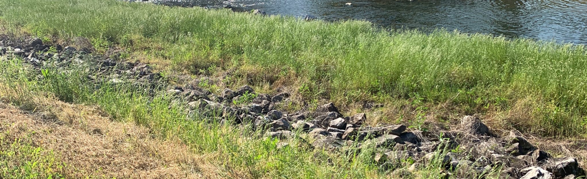 Levee Access Road and Rachel Carson Greenway Trail Loop: 158 Reviews ...