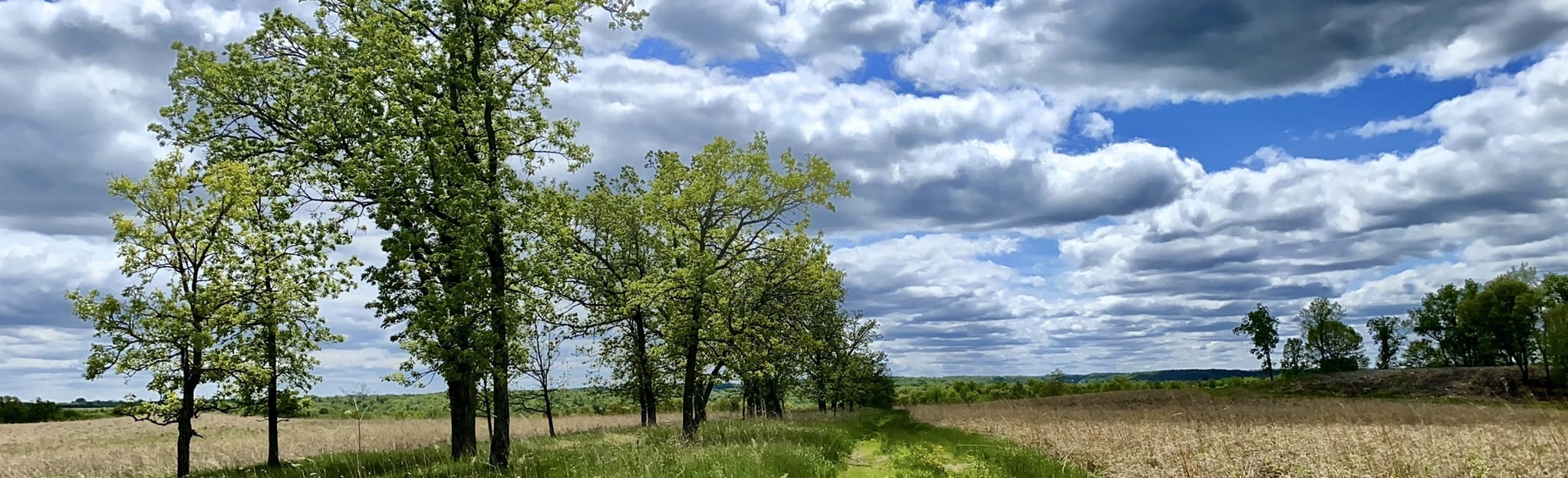 Miesville Upper Bluff Trail, Minnesota - 12 Reviews, Map | AllTrails