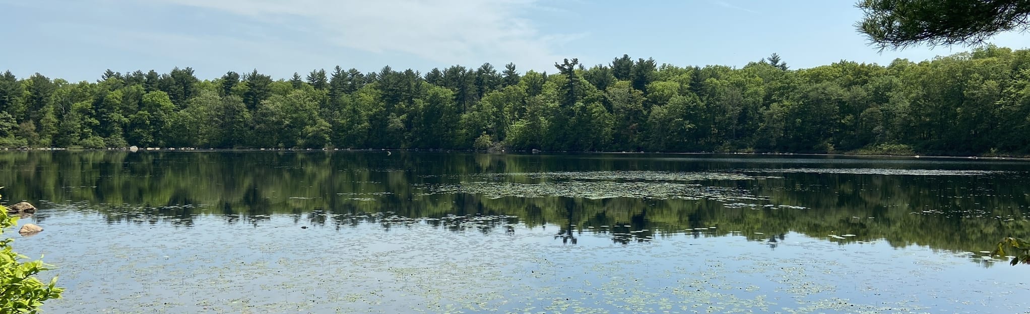Upper Carpenter Pond Loop, Massachusetts - 361 Reviews, Map | AllTrails
