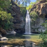 Potem Falls Trail, California - 278 Reviews, Map | AllTrails