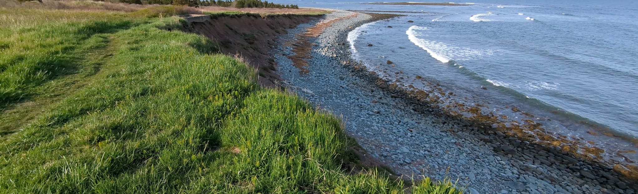 Hartlen Point Shoreline: 29 Reviews, Map - Nova Scotia, Canada | AllTrails