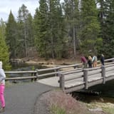 Geyser Hill Loop Trail and Observation Point, Montana - 324 Reviews ...
