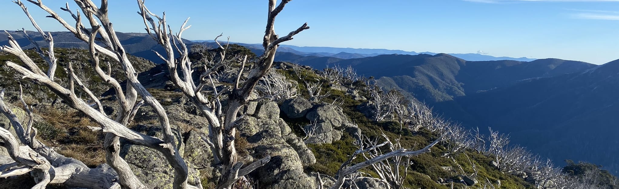 Mount Jaithmathang Summit, Victoria, Australia - 32 Reviews, Map ...