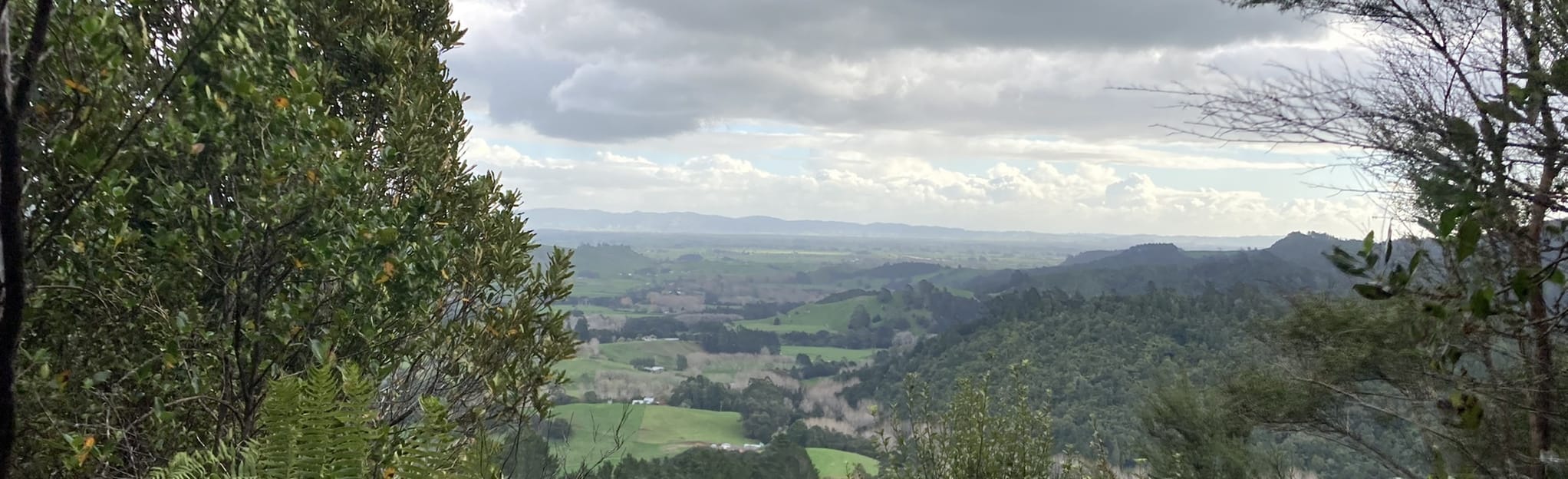 Old Wires Track Loop, Waikato, New Zealand - 14 Reviews, Map | AllTrails