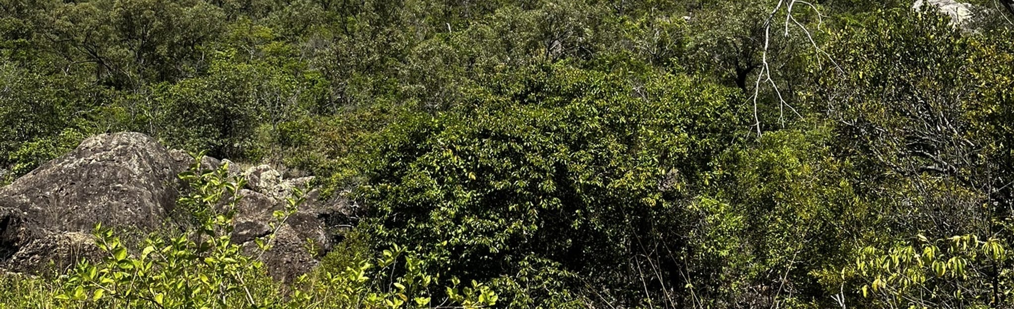 Town Common Loop via Shelly Beach and Cape Pallarenda - Queensland ...