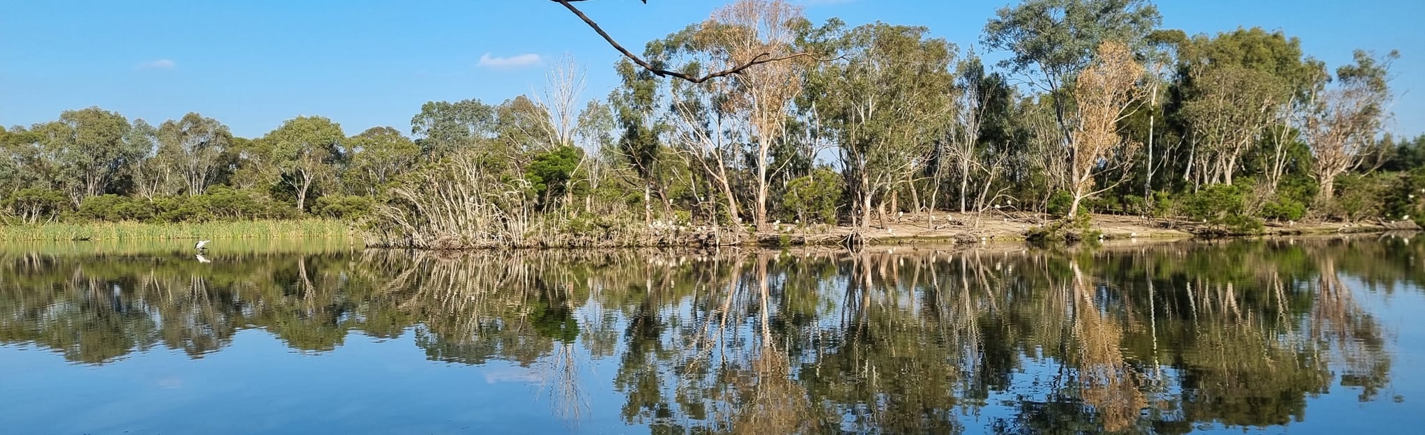 Jells Lake via Scotchmans Creek Trail: 34 Reviews, Map - Victoria ...