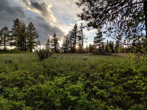 10 Best Trails and Hikes in Cheney | AllTrails