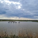 Farlington Marshes and Point Field Circular, Hampshire, England - 238 ...