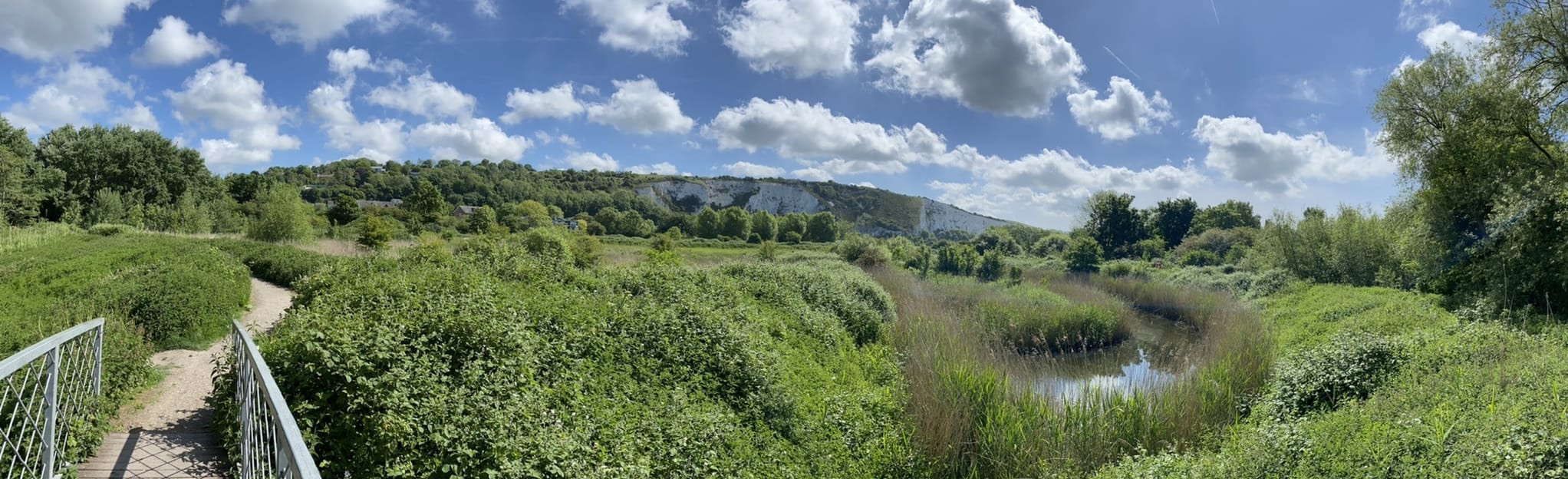 Lewes Railways Nature Reserve - East Sussex, England | AllTrails