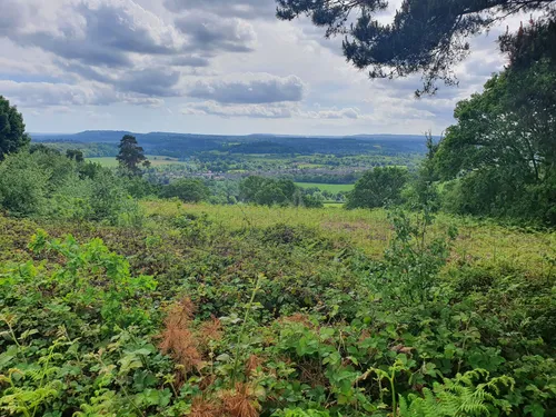 10 Best Trails and Hikes in Guildford | AllTrails