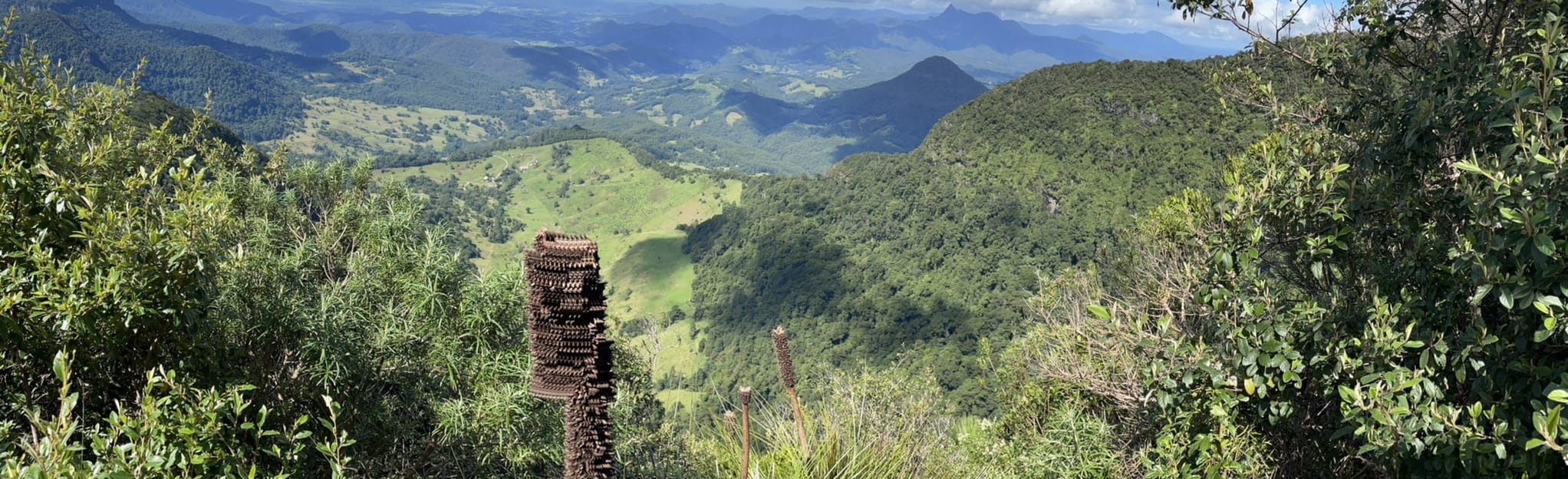 Mount Hobwee Circuit via Border Track: 579 fotos - Queensland ...