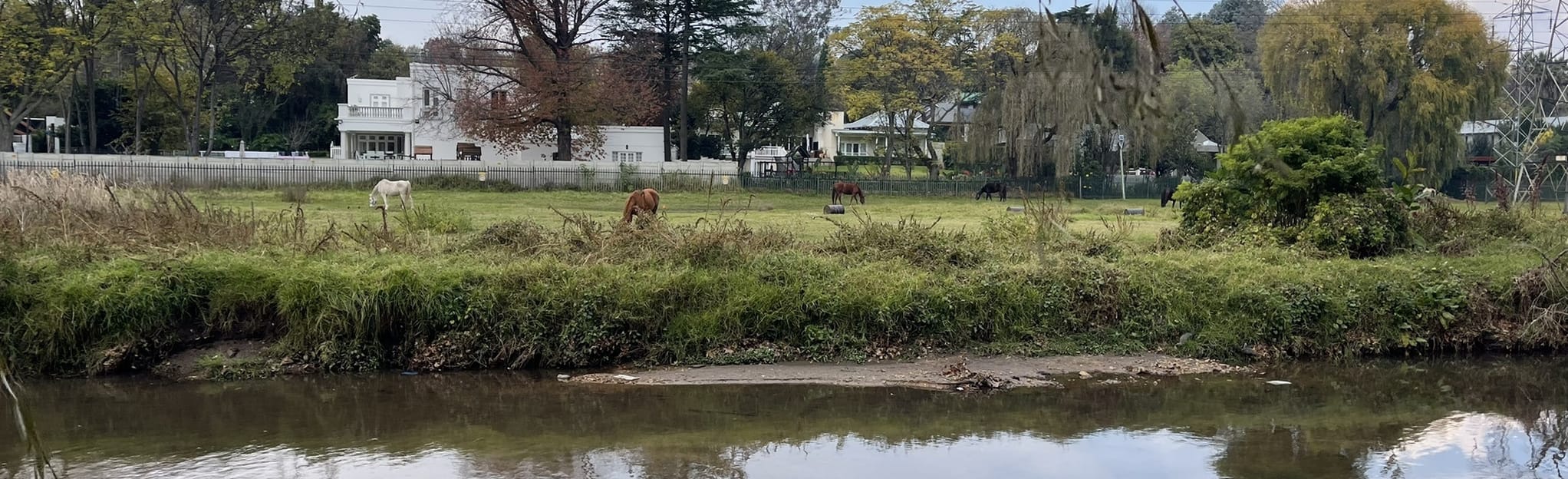 Delta Park via Braamfontein Spruit Trail, Gauteng, South Africa - 84 ...