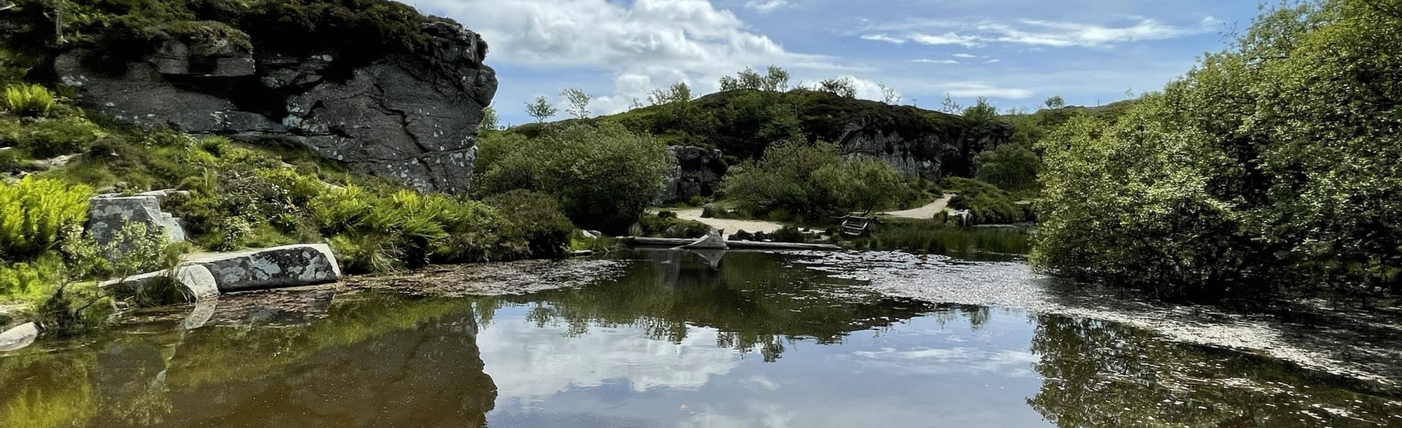 Haytor Quarry Circular: 116 Reviews, Map - Devon, England | AllTrails