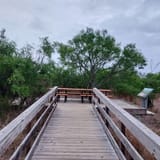 Oso Bay Wetlands Preserve, Texas - 314 Reviews, Map | AllTrails