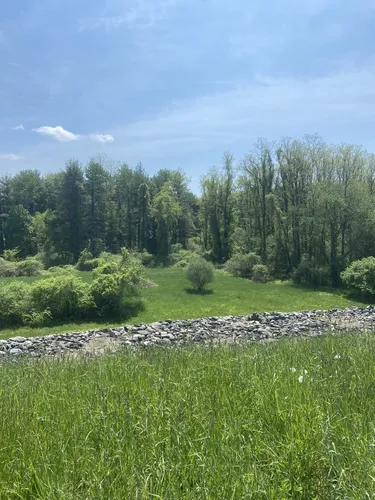 10 Best Hikes and Trails in Callahan State Park | AllTrails