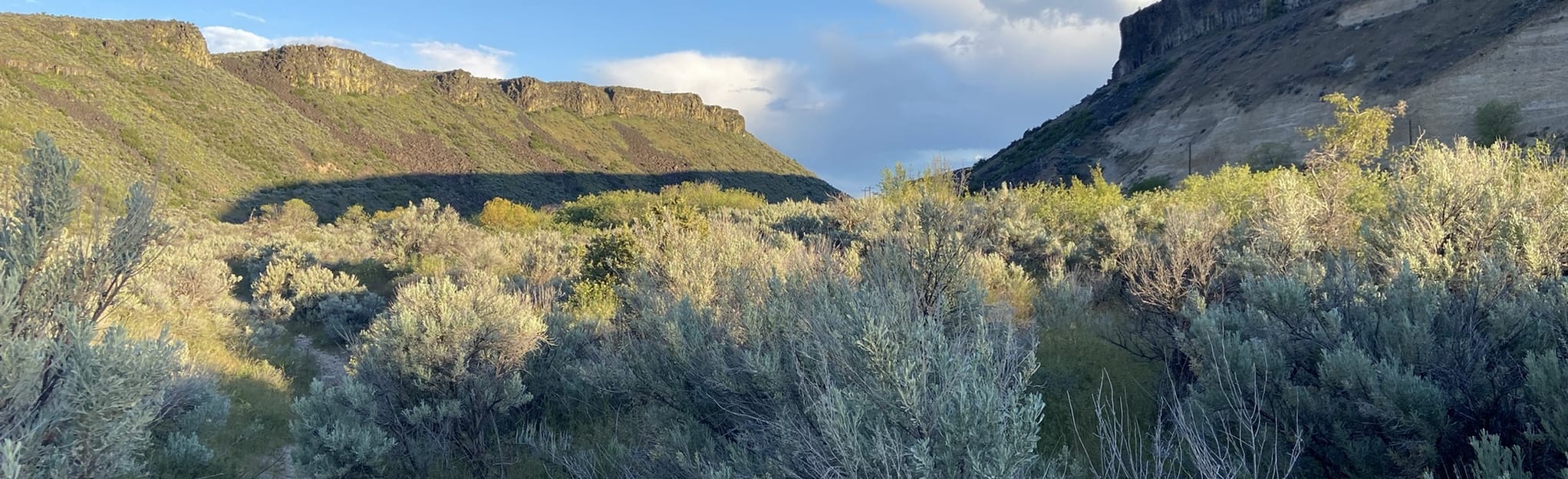 Lydle Gulch-Oregon Trail Loop: 48 Reviews, Map - Idaho | AllTrails