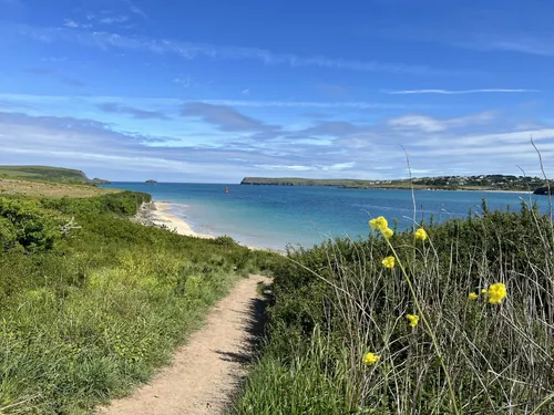 10 Best Trails and Hikes in Cornwall | AllTrails
