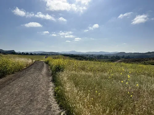 10 Best Trails and Hikes in Camarillo | AllTrails
