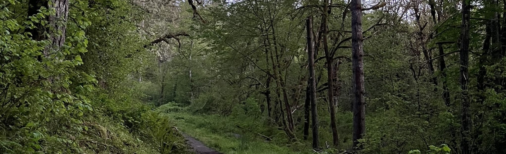 Homestead Trail: 132 Reviews, Map - Oregon | AllTrails