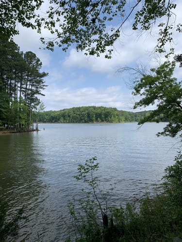 Best 10 Hikes and Trails in Falls Lake State Recreation Area | AllTrails