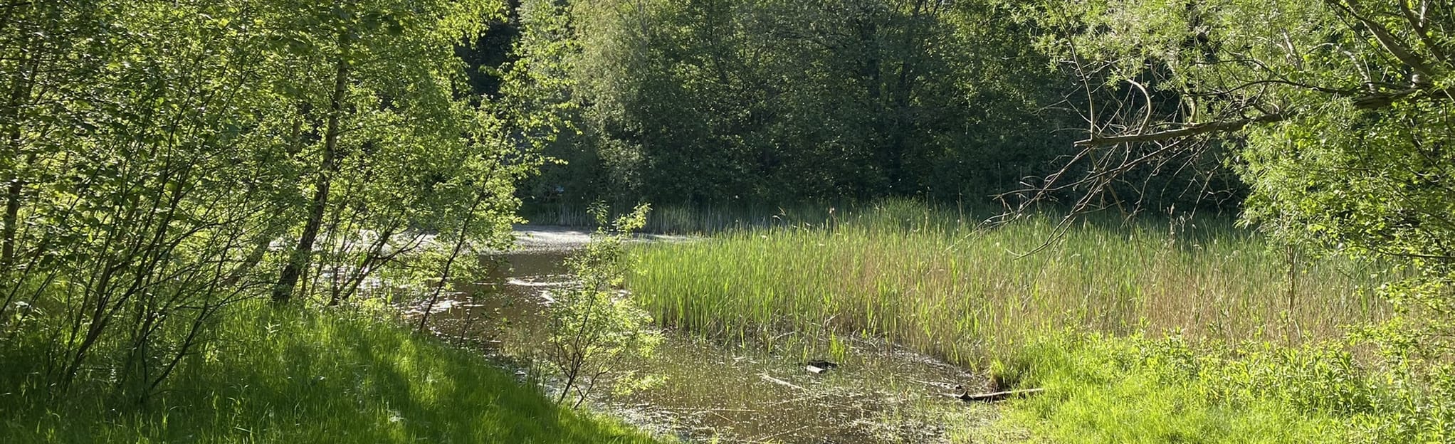 Vestervang Til Roskilde via Vestskoven: 6 Reviews, Map - Capital Region ...