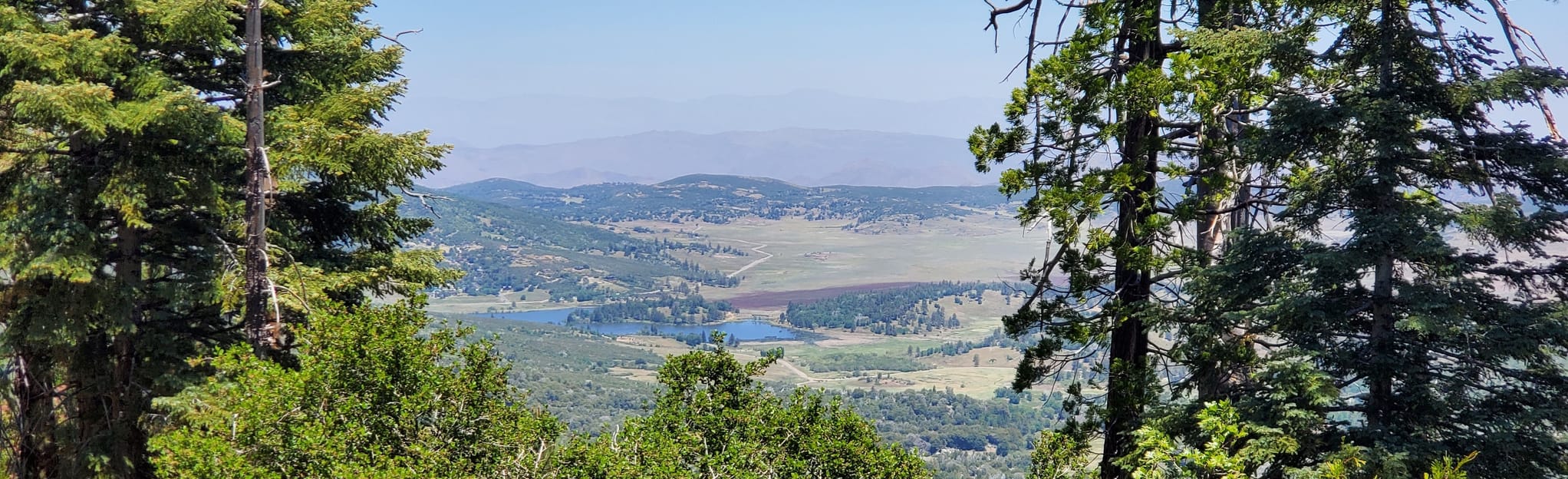 Cuyamaca Peak via Azalea Glen Loop: 2400 Reviews, Map - California ...