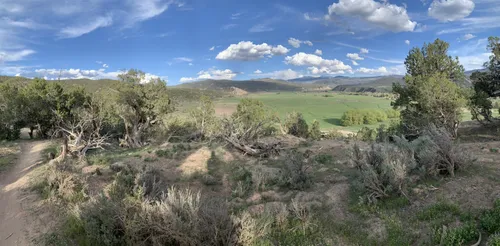 10 Best Moderate Trails in BLM: Colorado River Valley Field Office ...