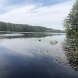 Arcadia Trail Loop, Rhode Island - 279 Reviews, Map | AllTrails