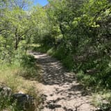 Quail Trail Loop, Utah - 264 Reviews, Map | AllTrails