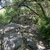 Quail Trail Loop, Utah - 264 Reviews, Map | AllTrails