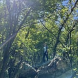 Quail Trail Loop, Utah - 264 Reviews, Map | AllTrails