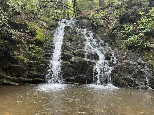 10 Best Waterfall Trails in Cherokee National Forest | AllTrails