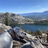 Becker Peak Trail, California - 125 Reviews, Map | AllTrails