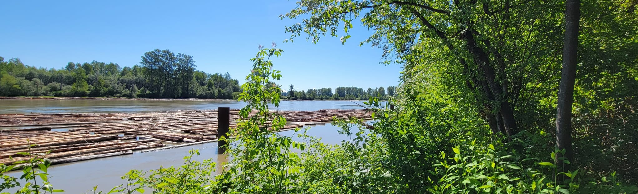 Parsons Trail and Pacific Trail Loop: 272 Reviews, Map - British ...