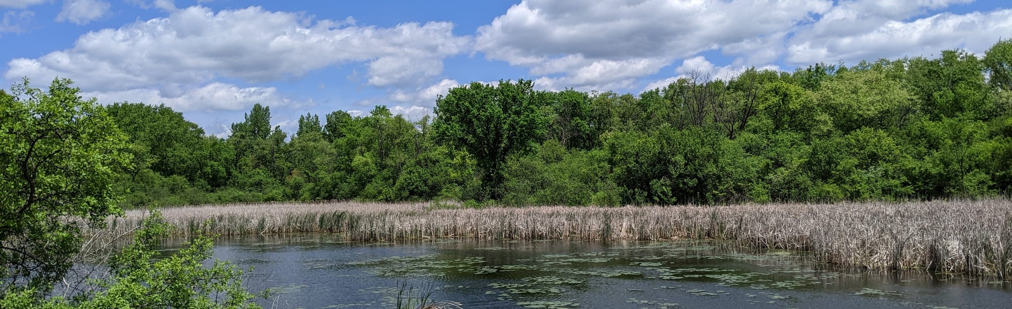 Illinois Prairie Path: North from Army Trail Road, Illinois - 135 ...