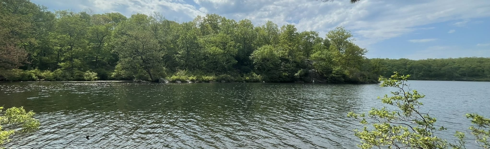 Sunfish Pond Loop via Garvey Springs Trail, Pennsylvania - 324 Reviews ...