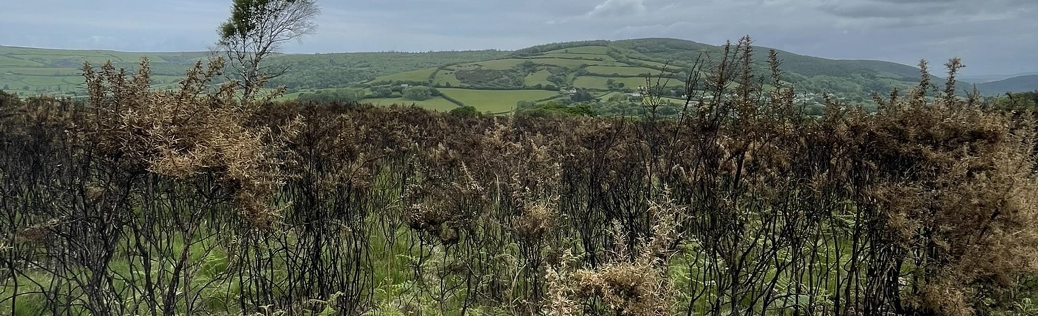 Porlock and Dunkery Beacon Circular: 9 Reviews, Map - Somerset, England ...