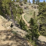 Phipps Park Trail, Montana - 400 Reviews, Map | AllTrails