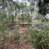 Cannon’s Point Preserve, Georgia - 126 Reviews, Map | AllTrails