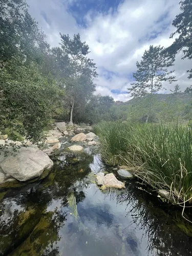 Best Hikes and Trails in Elfin Forest Recreational Reserve | AllTrails