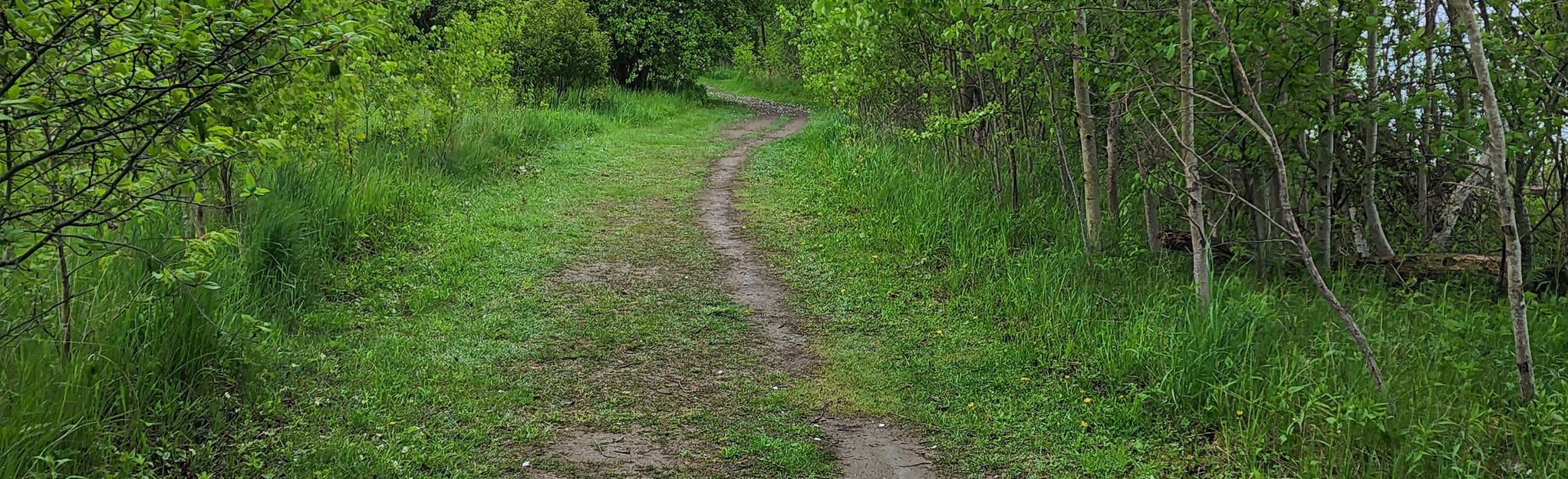 Lucas Point Park, Ontario, Canada - 13 Reviews, Map | AllTrails