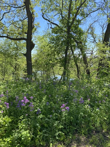 Best Hikes and Trails in Dead Timber State Recreation Area | AllTrails
