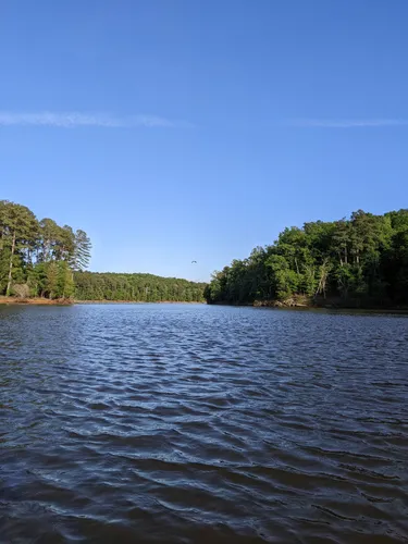 Best Hikes and Trails in Jordan Lake State Recreation Area | AllTrails