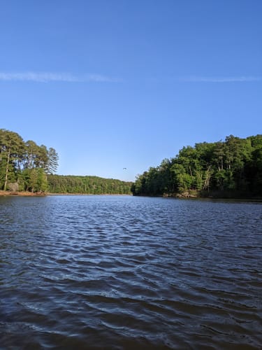 Best Hikes and Trails in Jordan Lake State Recreation Area | AllTrails