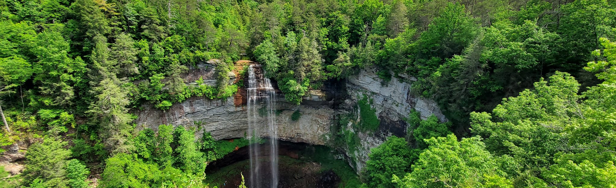 Fall Creek and Coon Creek Falls via Base of the Falls Trail: 2.763 foto ...