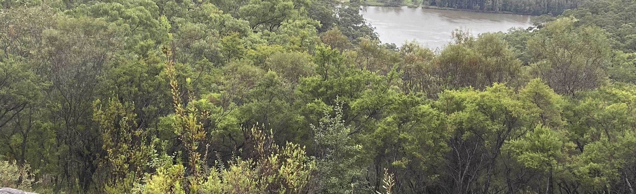 Simpsons Hill Trail - New South Wales, Australia | AllTrails