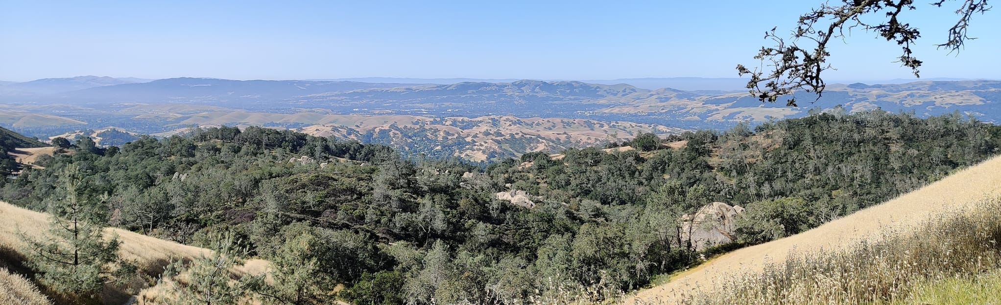 Summit and Juniper Trail: 135 Reviews, Map - California | AllTrails
